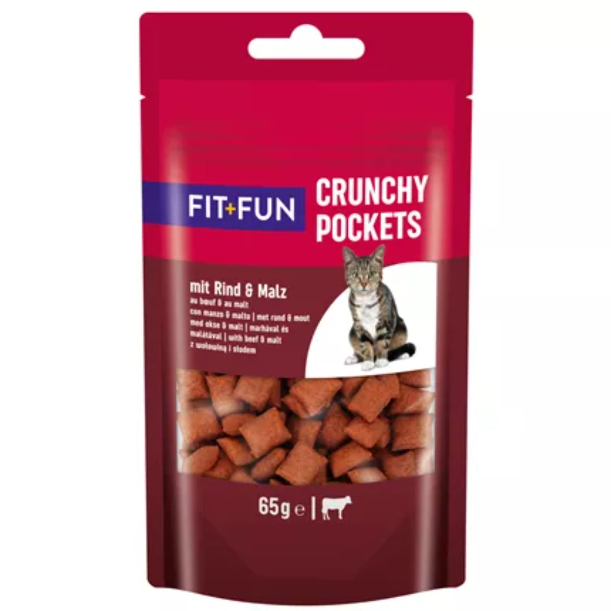 Fit and Fun Cat Snack Crunchy Pocket 65G | Arcaplanet