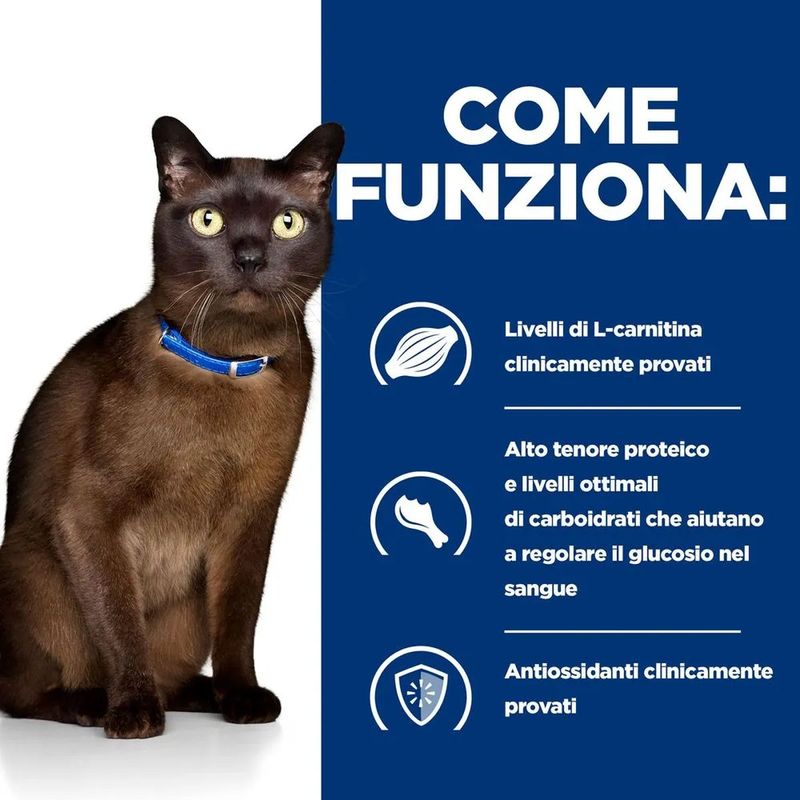 Kit Risparmio 24x156G Hill's Prescription Diet Cat m/d Diabetes Care