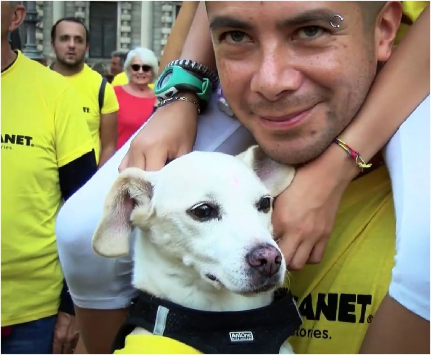 Vivi Dog Puppy All Breeds Agnello